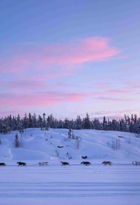 Home | Northwest Territories Tourism Industry