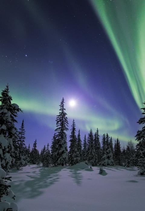 Home | Northwest Territories Tourism Industry